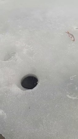 Зимняя рыбалка,последний лёд.