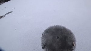 СТАЯ ОКУНЯ РОЗРИВАЄ ЦЕЙ БАЛАНСИР. Зимова рибалка на ок