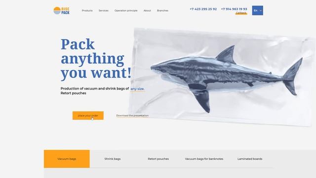 RisePack Презентация концепции дизайна корпоративного сайта