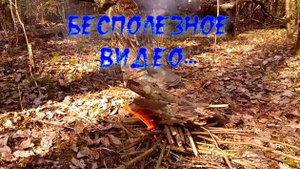 Бесполезный коп металла.
