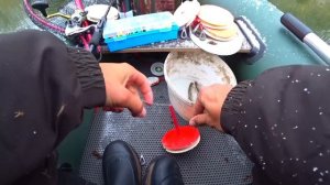 РЫБА КЛЮЁТ И ДУША ПОЁТ! МЕЖСЕЗОНЬЕ НЕ ПОМЕХА! Рыбалка н