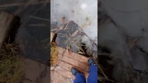 огромная щука чуть не оборвала леску