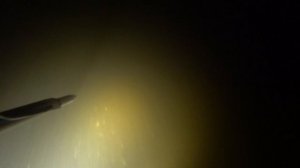 Подводная охота 05.02.2025 река Днепр, глубина 11 м, сомик 18,5