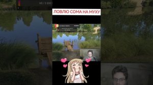 Лучшее место для ловли сома в рр4! #рр4 #russianfishing4 #русска?