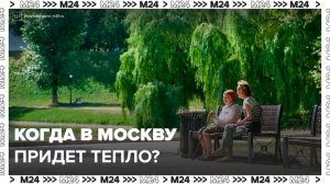 Синоптик рассказал, когда в Москве начнется потепление - Москва 24