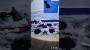 Выезд с ночевой на Иваньковку, все по простому.. #рыбал?