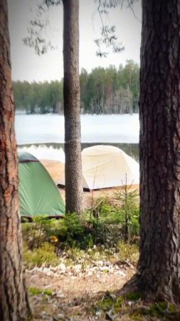 Палатка Argument Montalor 2 (4 сезона) #палатки #argument #поход #camping