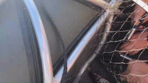 Рыбалка в Карелии / На водомёте по Сухой Водле Yamaha 115 !!!