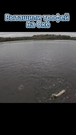 Вытащили трофей на Оке 🎣 #Рыбалка #Шортс #Лайфхаки #Со?