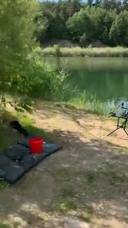 Ловля карпа на озере. Что может быть лучше #fishing #carpfishing