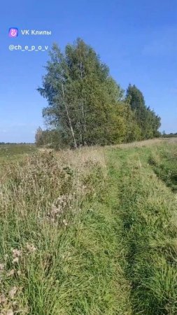 На рыбалке в последний день лета #рыбалка#Ярославской?