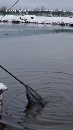 #fishing #рыболовныеузлы #рыбалка #спиннинг #форель #ловля?