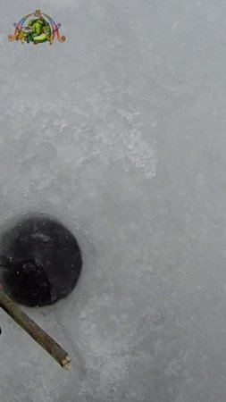 ЗИМНЯЯ РЫБАЛКА.ТРОФЕЙНАЯ ЩУКА на ЩУКОЛОВКУ🎣🦈👀#shorts
