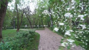 Москва в выходные 🎉: неспешная прогулка по уютным улицам столицы – почувствуй ритм отдыха! 🌇🚶♂️✨