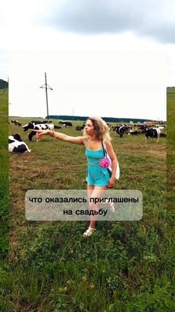 встретили стадо коров  #путешествия #беларусь #поставы #фотосессия
