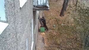 Приключения пьяного