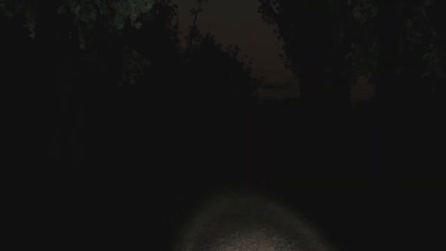 Slender (Indie Horror) Playthrough - PC