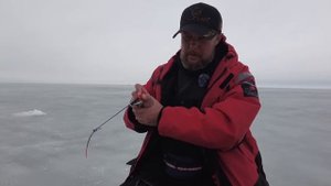 Последний лёд на Горьковском водохранилище.16000 шагов ?