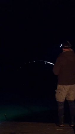 Рекордный дикий карп! Часть 1. #carpbolo #болонка #карп #дика