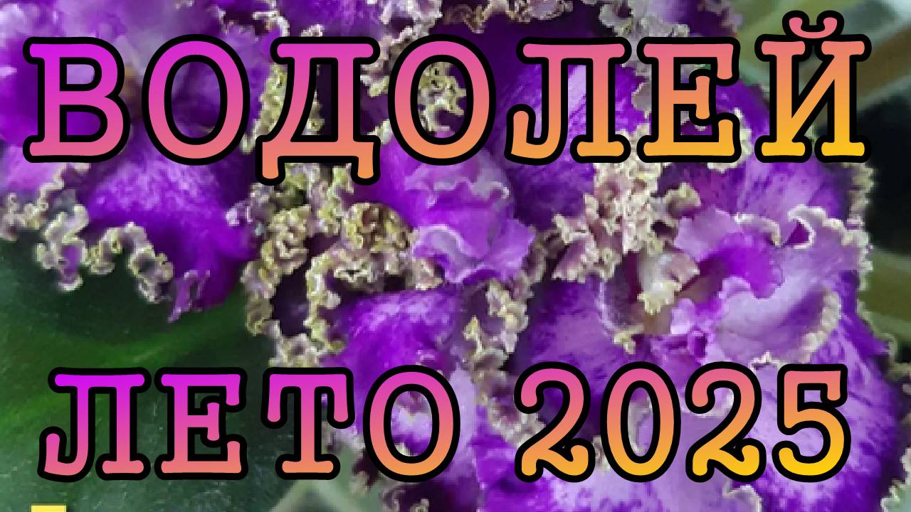 ВОДОЛЕЙ таро прогноз на ЛЕТО 2025 года (июнь, июль, август).