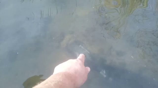 Находка на рыбалке. Мелочь, а приятно! Клад на отмели для гринпис!
