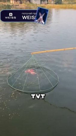 Гении рыбалки! #своимируками #diy