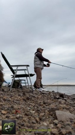 Не много рыбалки в ленту #fishing #khv #amur #рыбалка #хабаровс?