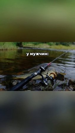 Сори в бит не попал #рек #fishing #реки #рыбалка #рыболовная