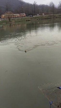 Рыбалка в горах на озере