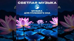 Ночные мотыльки
