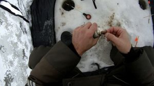 Плотва загибает флажки самодельных удочек, жерлиц. Те?