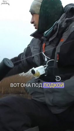 КАК ОНА ТЯГАЛА ЛОДКУ😳 #рыбалка #рек #fishing #рекомендаци?