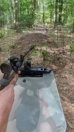 Винтовка Artemis CP2