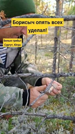 Борисыч опять всех уделал! Белые грибы. #рыбалка #охота