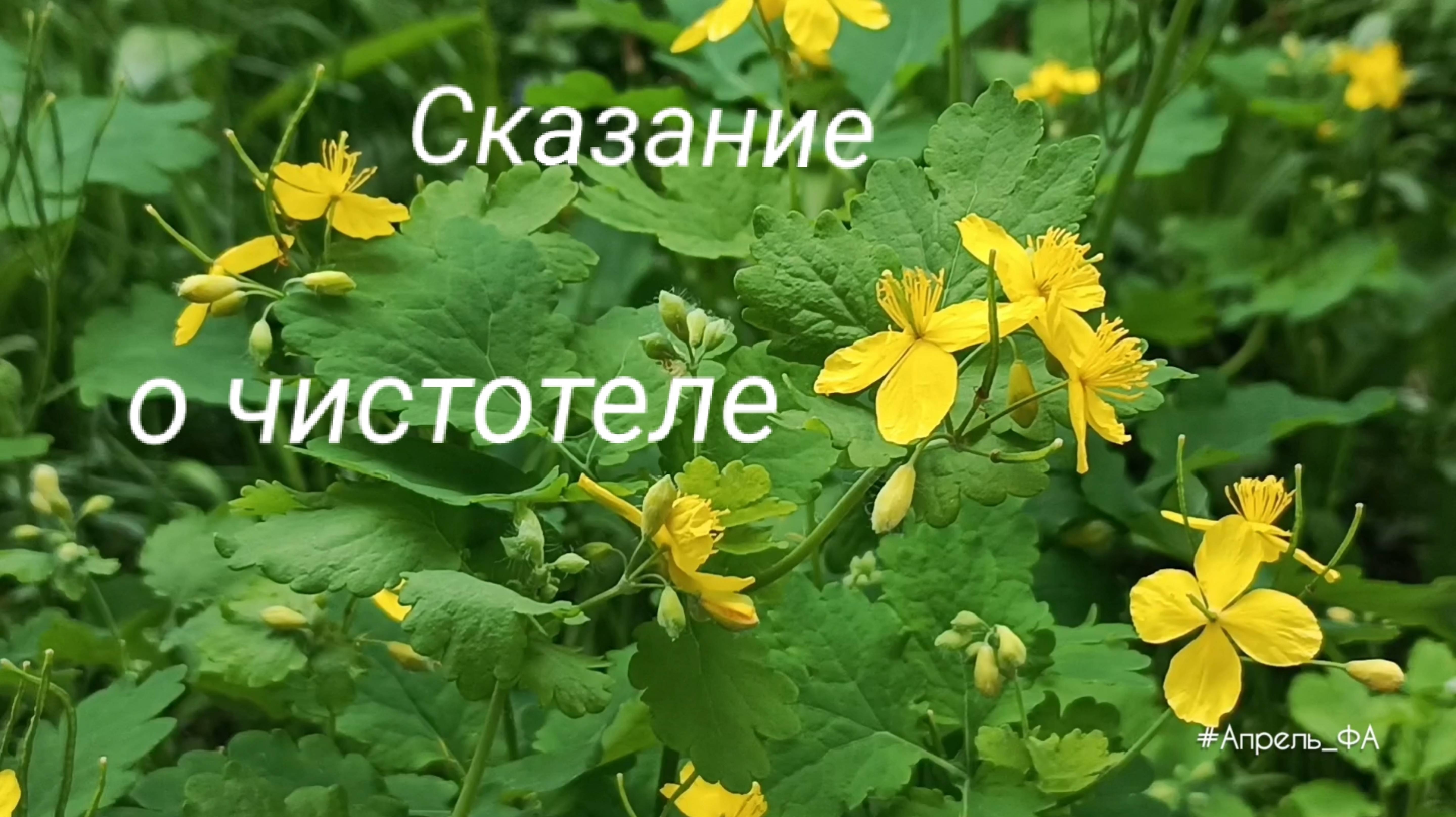Сказание о чистотеле. Релаксационное визуально-музыкальное повествование