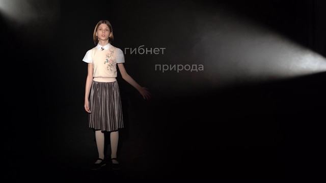 Алиса Крикунова – «Пусть будет мир»