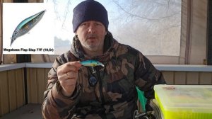 Топ 4 + 1 шедов, для малых рек, почему они ловят?