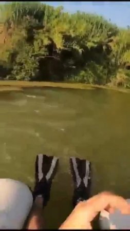 Catfish attacked Безумная атака сома #fishing #сом #рыбалка #спинн?