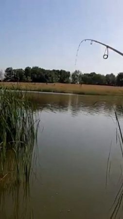 💥 МОРМЫШИНГ - карась на Мормо!!! #ловляокуня #ловлякара