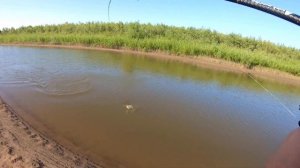 ЕГО В МЕЛКОВОДНОЙ ЗАВОДИ БЫТЬ НЕ ДОЛЖНО  рыбалка на же?