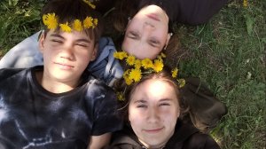 Всемирный день одуванчика- 13 мая!