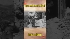 Дорога победы