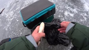 Роздача зимового КАРАСЯ !!! САЗАН на боковий кивок