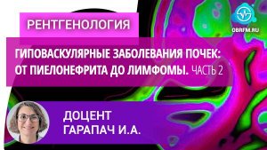 Доцент Гарапач И.А.: Гиповаскулярные заболевания почек: от пиелонефрита до лимфомы. Часть 2