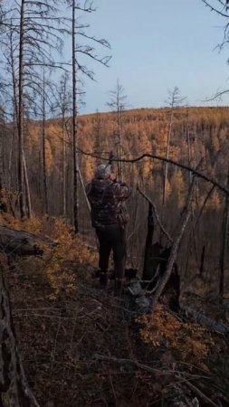 ОХОТА В СИБИРИ / ЗВУК ТАЙГИ ЧАСТЬ 6