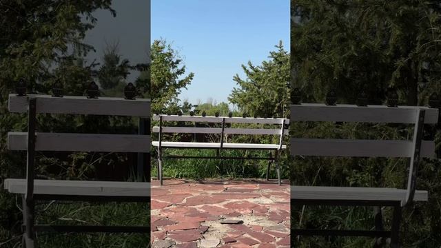 Спор Амбала и Токио🤟🤟🤟