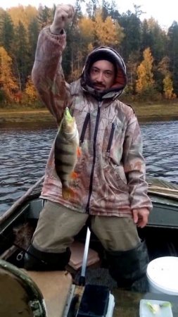 Рыбалка на Печоре