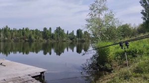 Рыбалка на платнике! Рыбалка на фидера! поймал рыбу! Ос