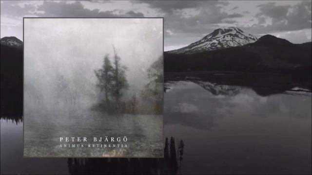 Peter Bjärgö - You Let the Light Shine Through