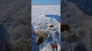 Приехали на Капчагай  голубой залив рыбаков очень мно?